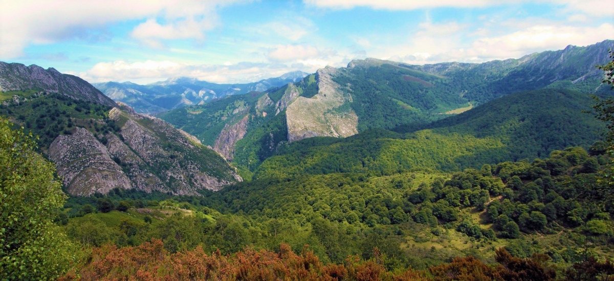 Bosques asturianos | ViajarSolo