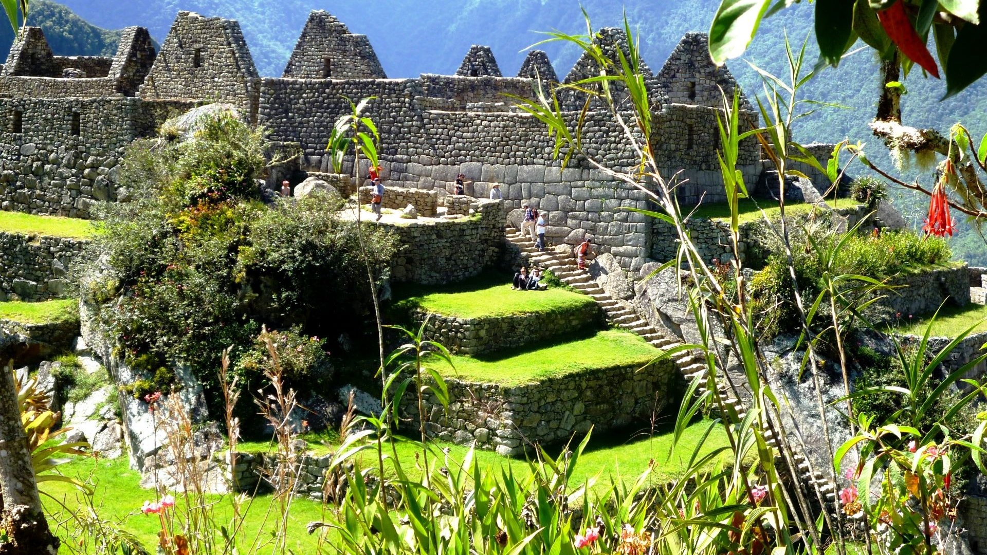 Descubre el Perú Andino | ViajarSolo