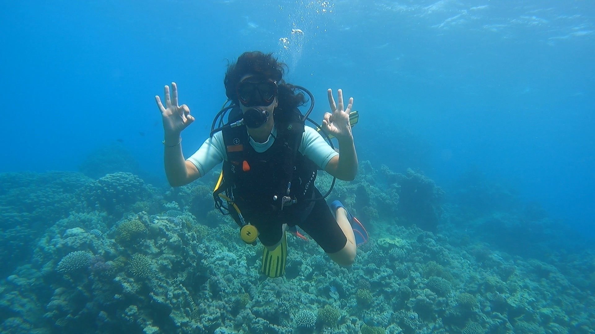 Nadar con delfines En Yate entre Delfines y Corales | ViajarSolo