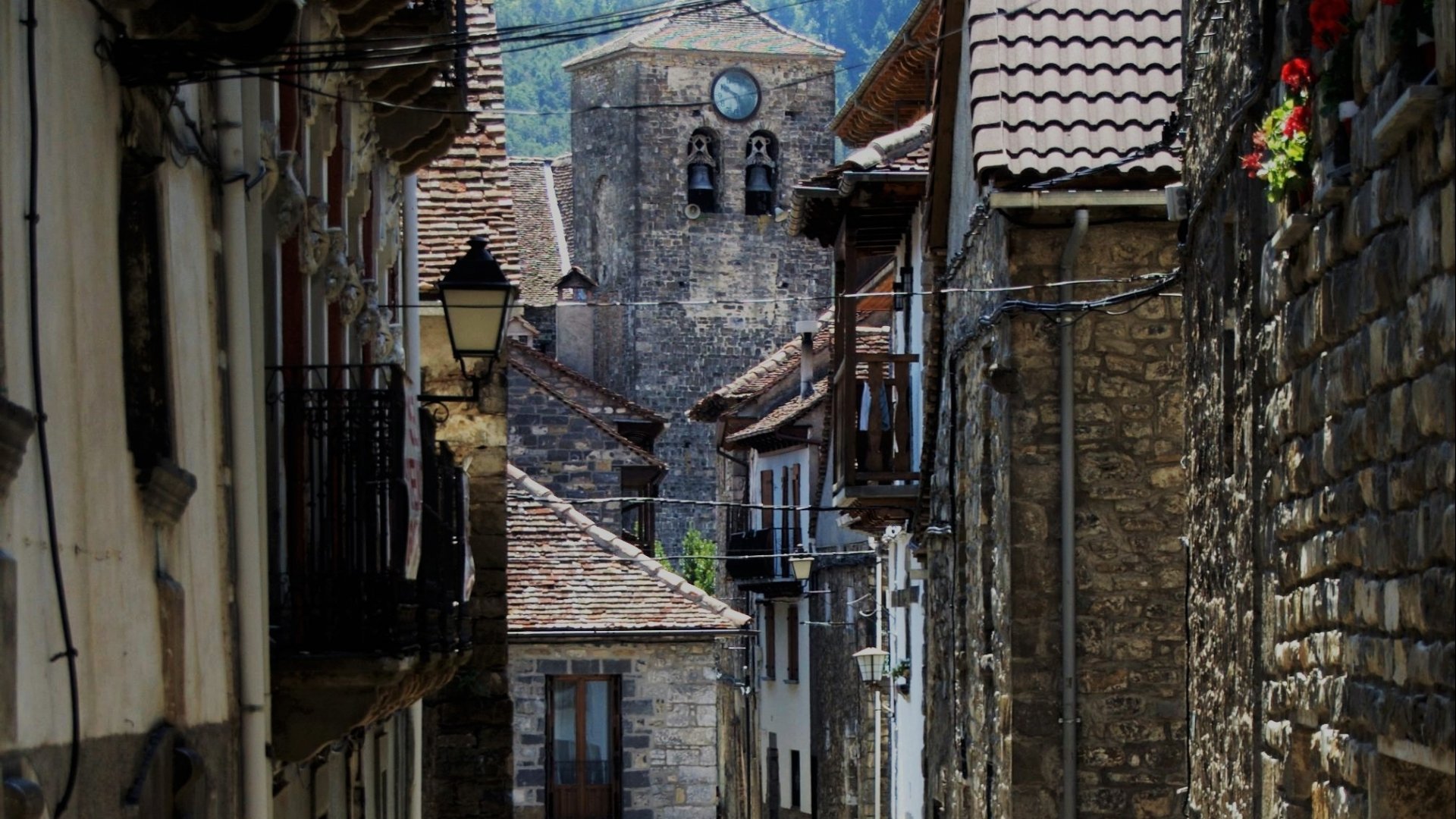 Senderismo en los bosques de Irati | ViajarSolo