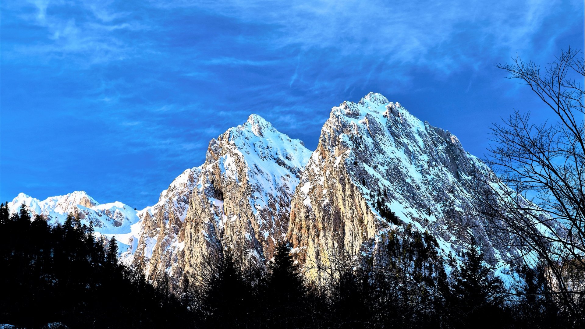 Senderismo en los bosques de Irati | ViajarSolo