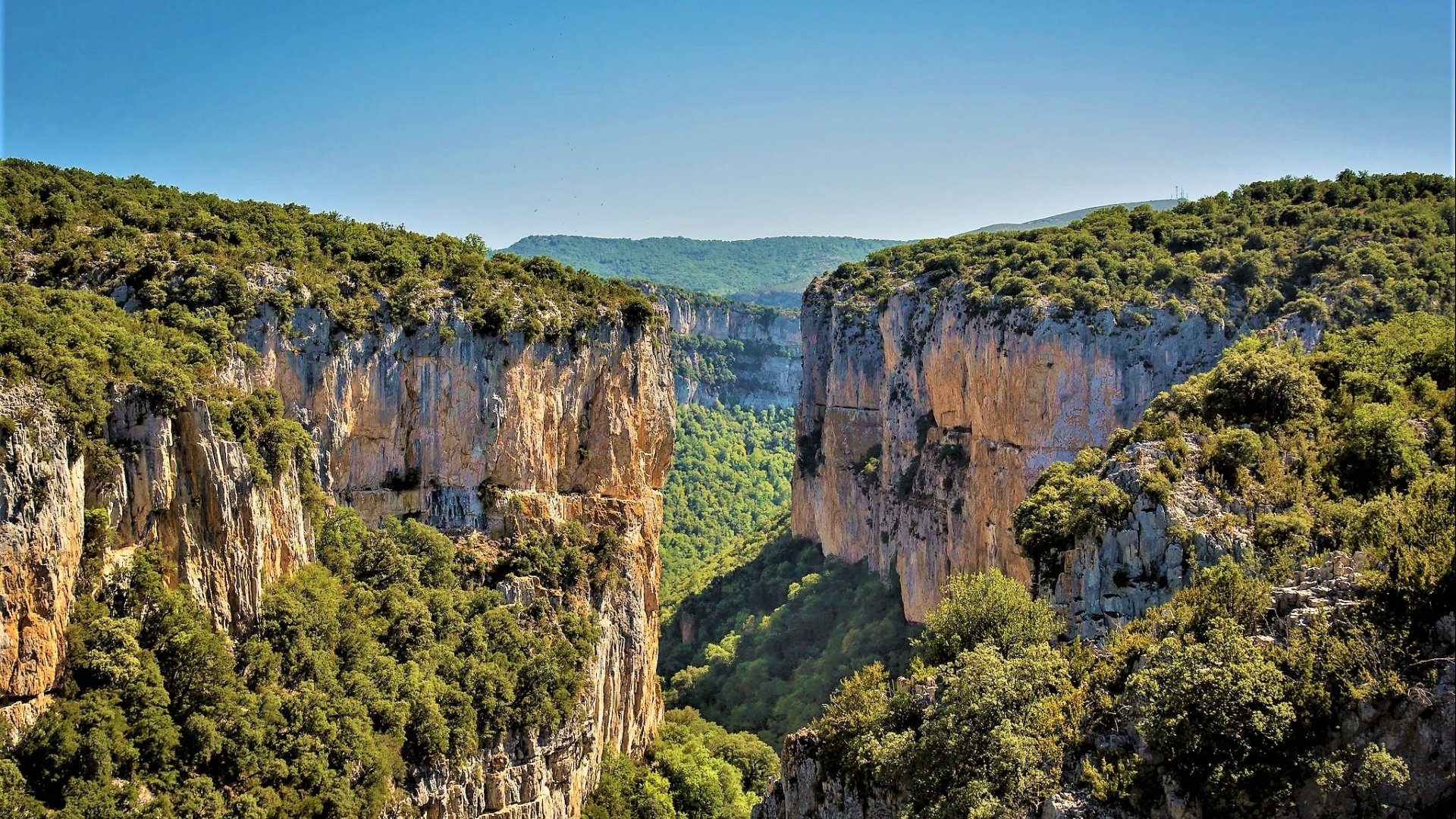 Senderismo en los bosques de Irati | ViajarSolo