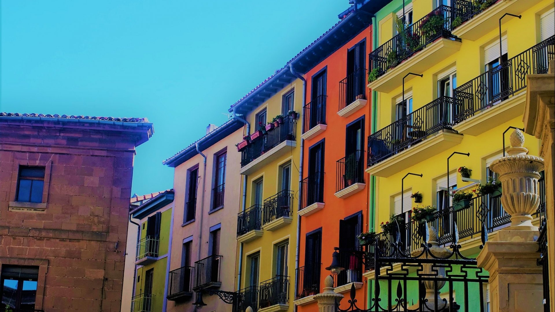 Senderismo en los bosques de Irati | ViajarSolo