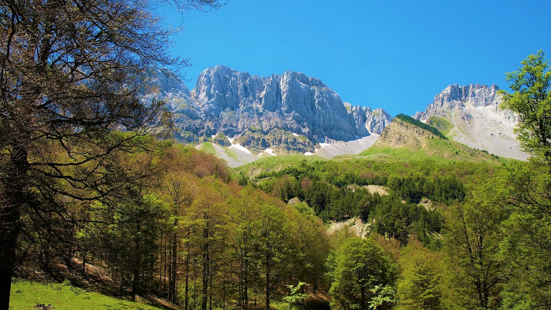Senderismo en los bosques de Irati | ViajarSolo