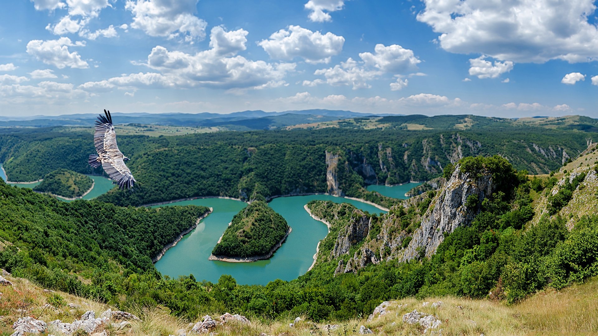 Descubre la naturaleza de Serbia en este safari fotográfico | ViajarSolo