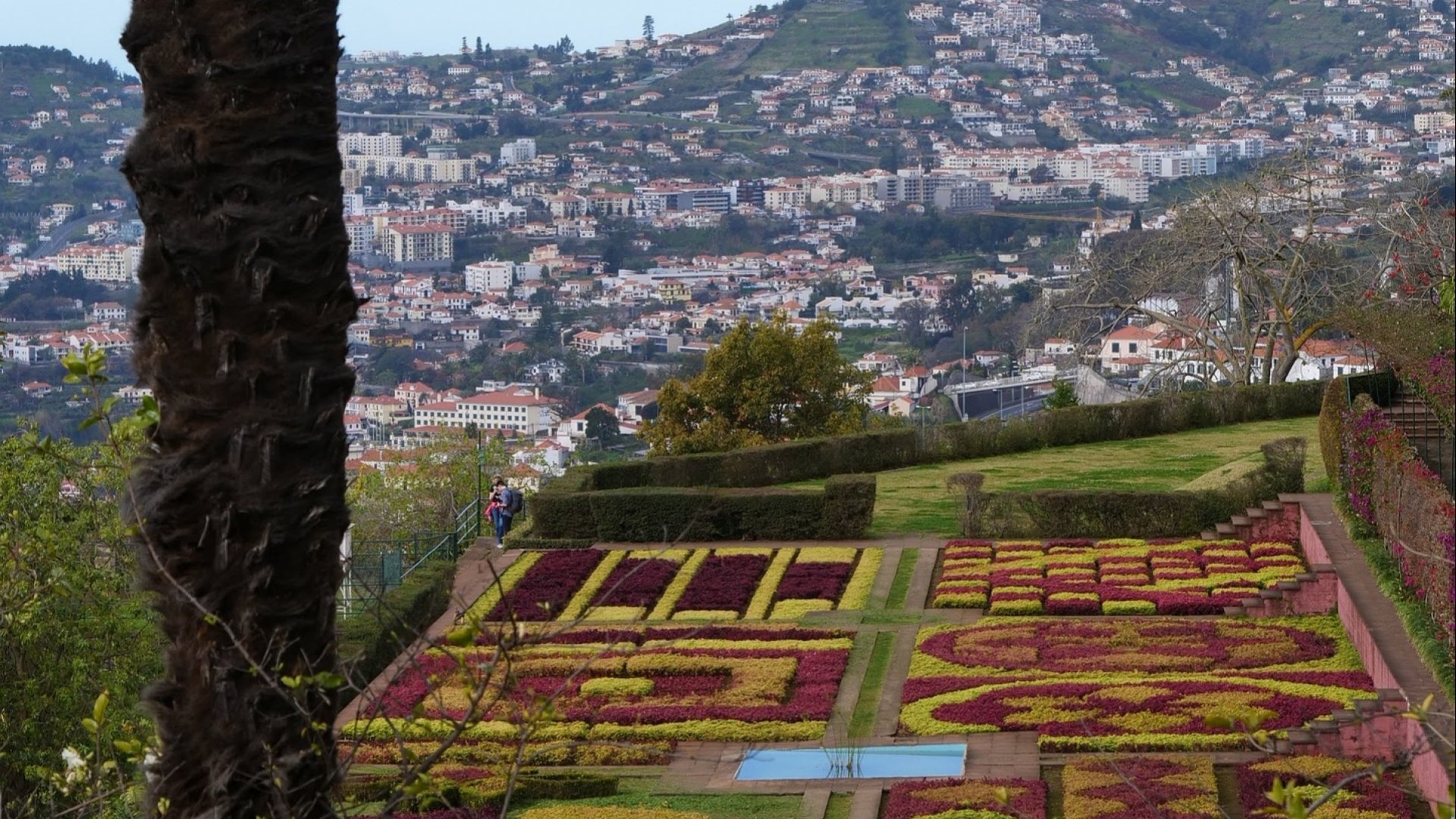 Madeira: senderismo en clave single | ViajarSolo