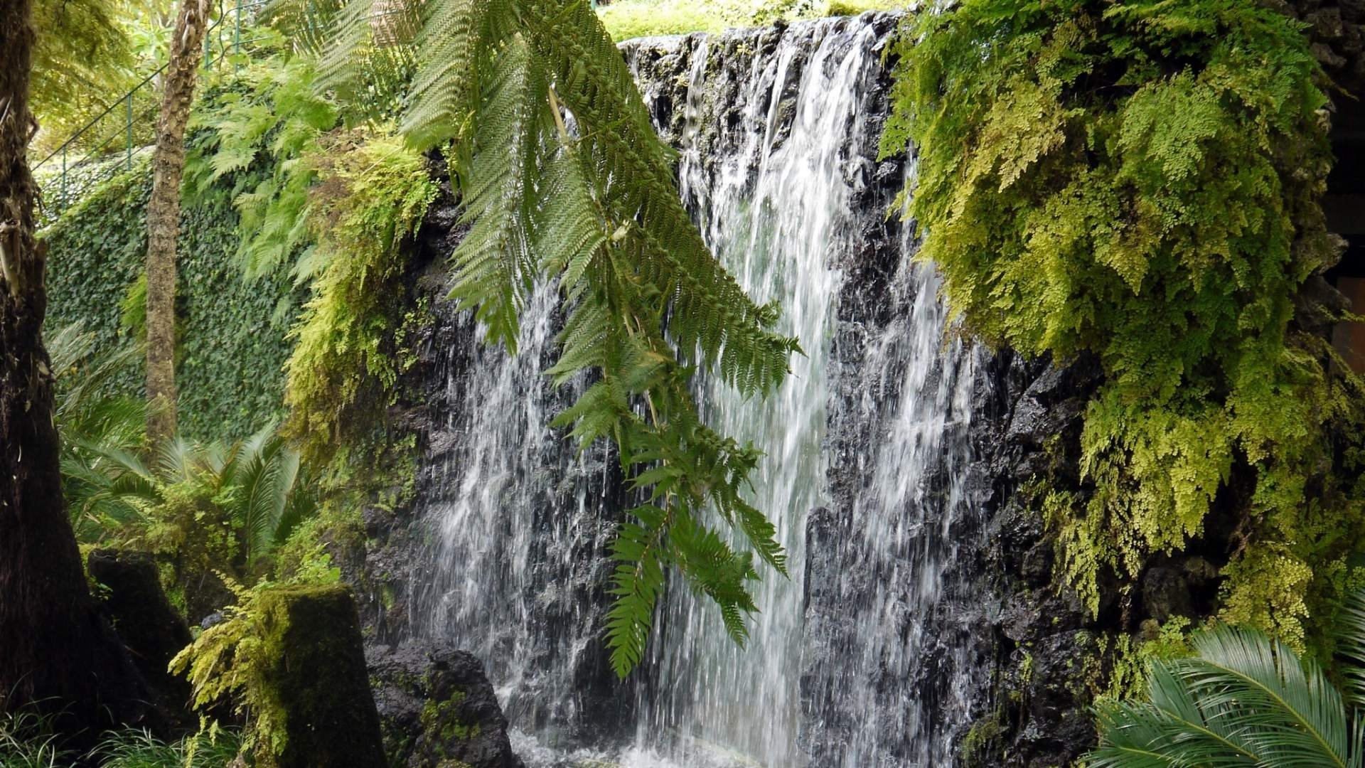 Madeira: senderismo en clave single | ViajarSolo