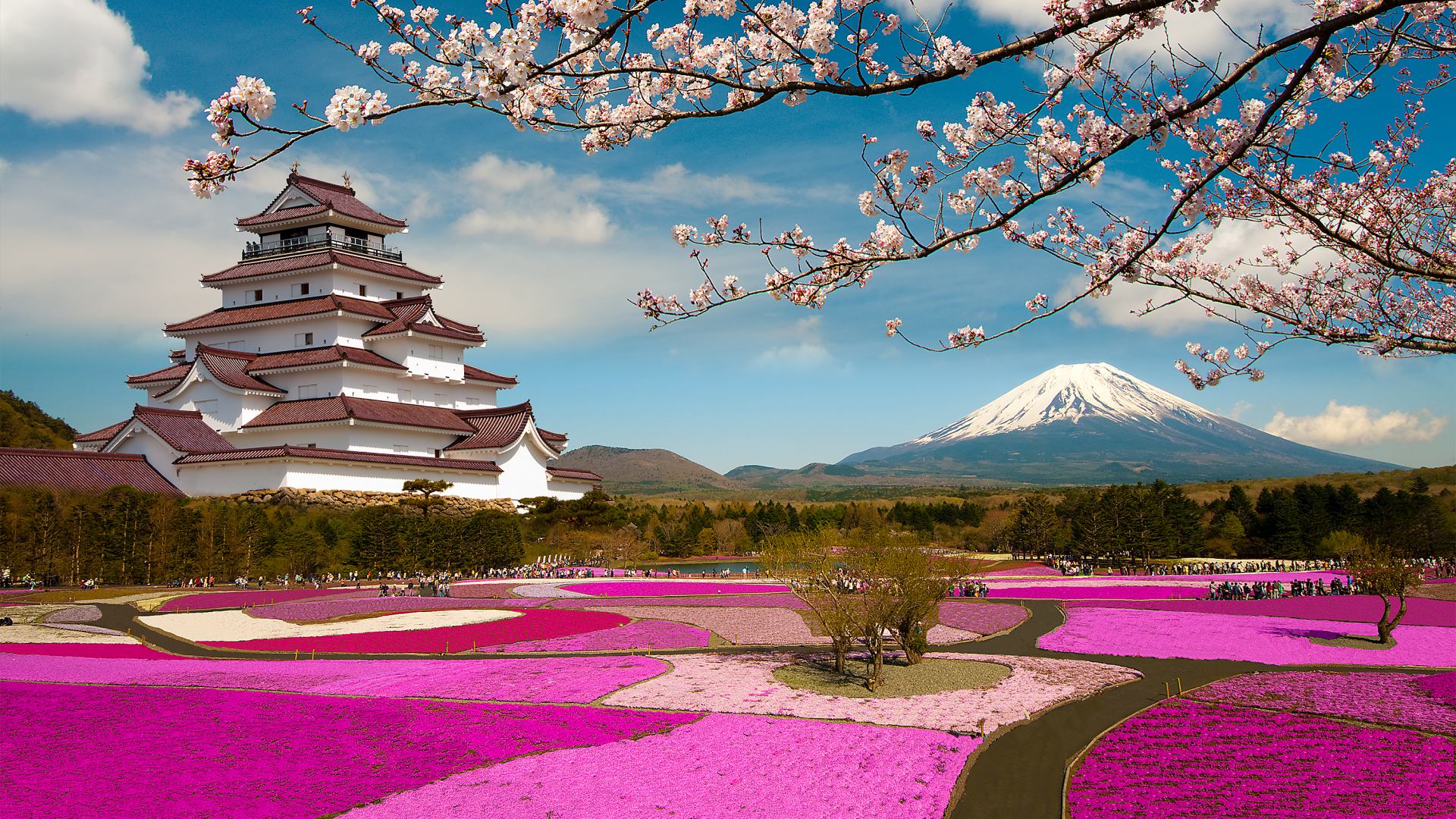 Japón a fondo - Viajar Solo